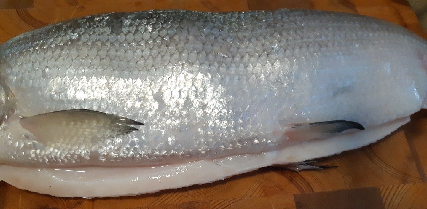 KOTI&RUOKA. KALA RUOKA. Suomalainen Kala; SIIKA, LOHI. …SIIKA ...