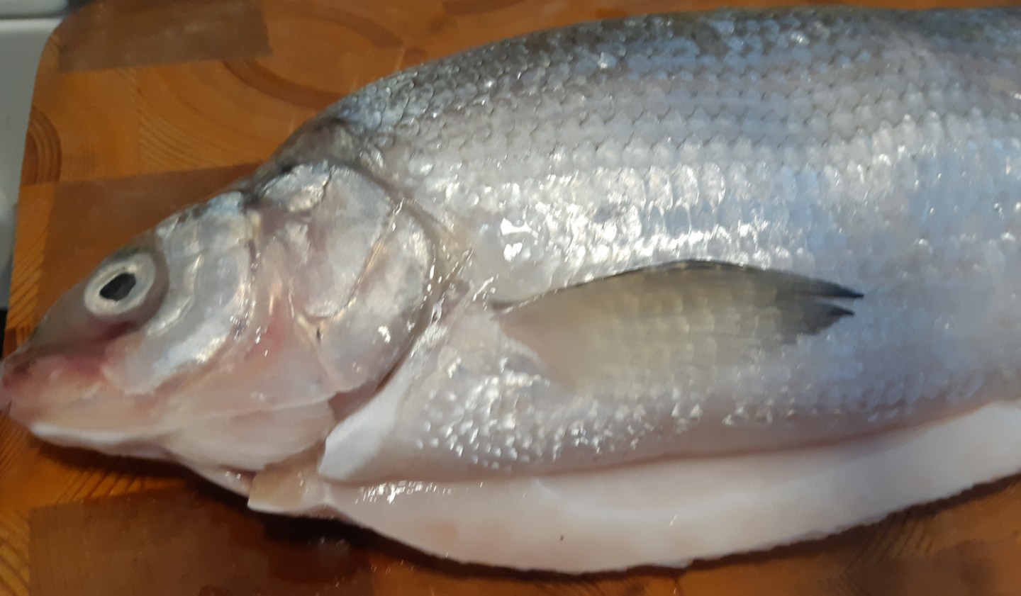 KOTI&RUOKA. KALA RUOKA. Suomalainen Kala; SIIKA, LOHI. …SIIKA ...
