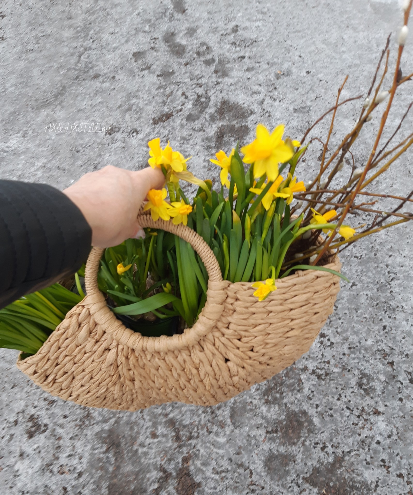 KOTI&SISUSTUS. KUKAT&KASVIT. Alku Kevät…PÄÄSIÄINEN 2021. Ruukkukukat ...