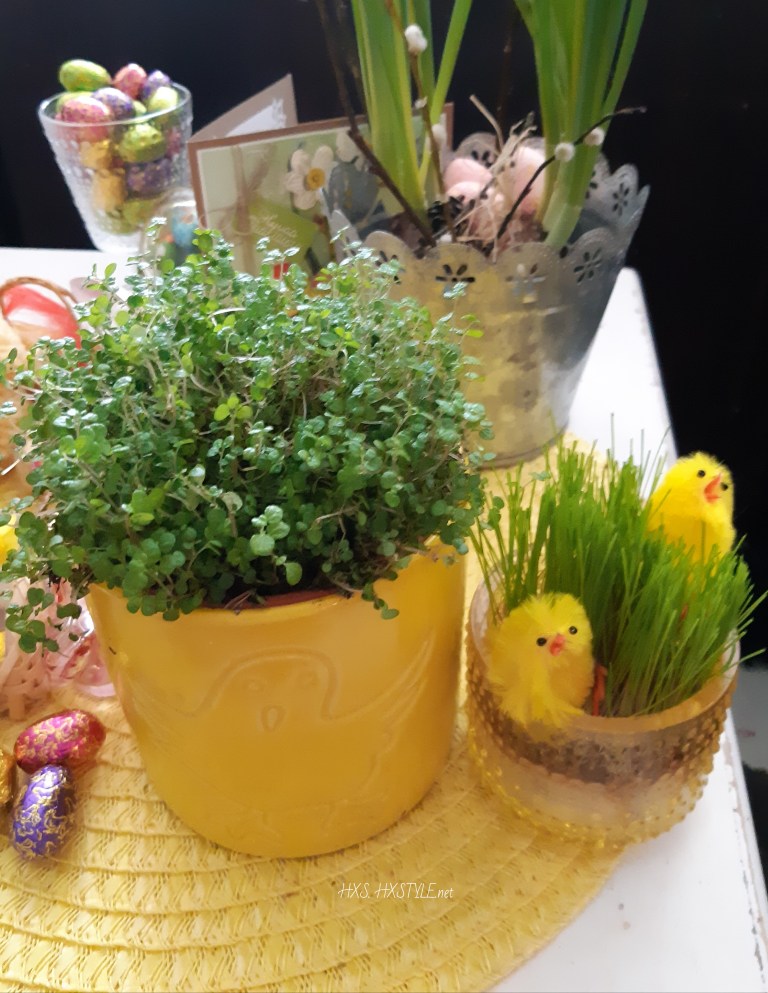 KOTI&SISUSTUS. PÄÄSIÄINEN 2021. RAERUOHO ja Ohraruoho valmiina ...