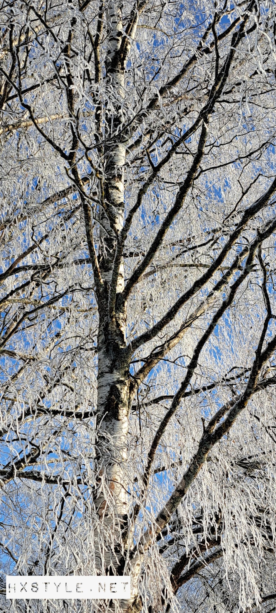 LUONTO SUOMIFINLAND…Suomen vaihtelevat VUODENAJAT, KEVÄTTALVI…Nyt ...