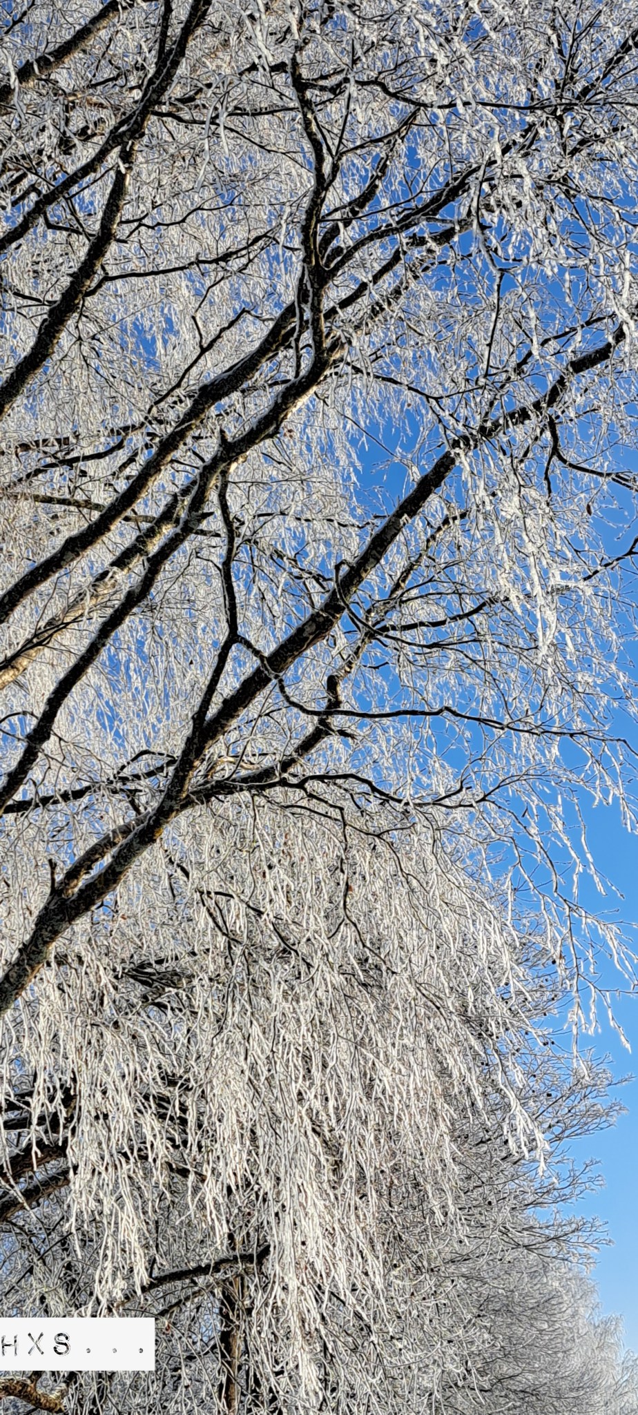 LUONTO SUOMIFINLAND…Suomen vaihtelevat VUODENAJAT, KEVÄTTALVI…Nyt ...
