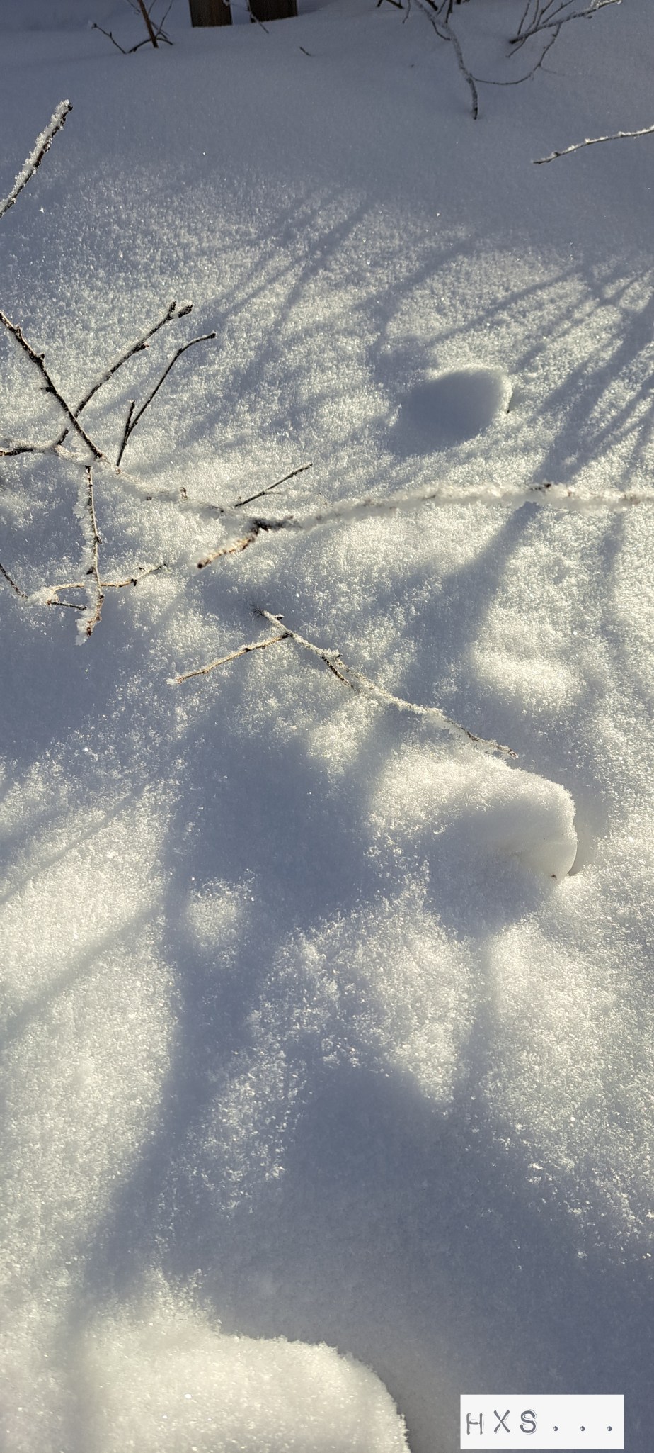 LUONTO SUOMIFINLAND…Suomen vaihtelevat VUODENAJAT, KEVÄTTALVI…Nyt ...