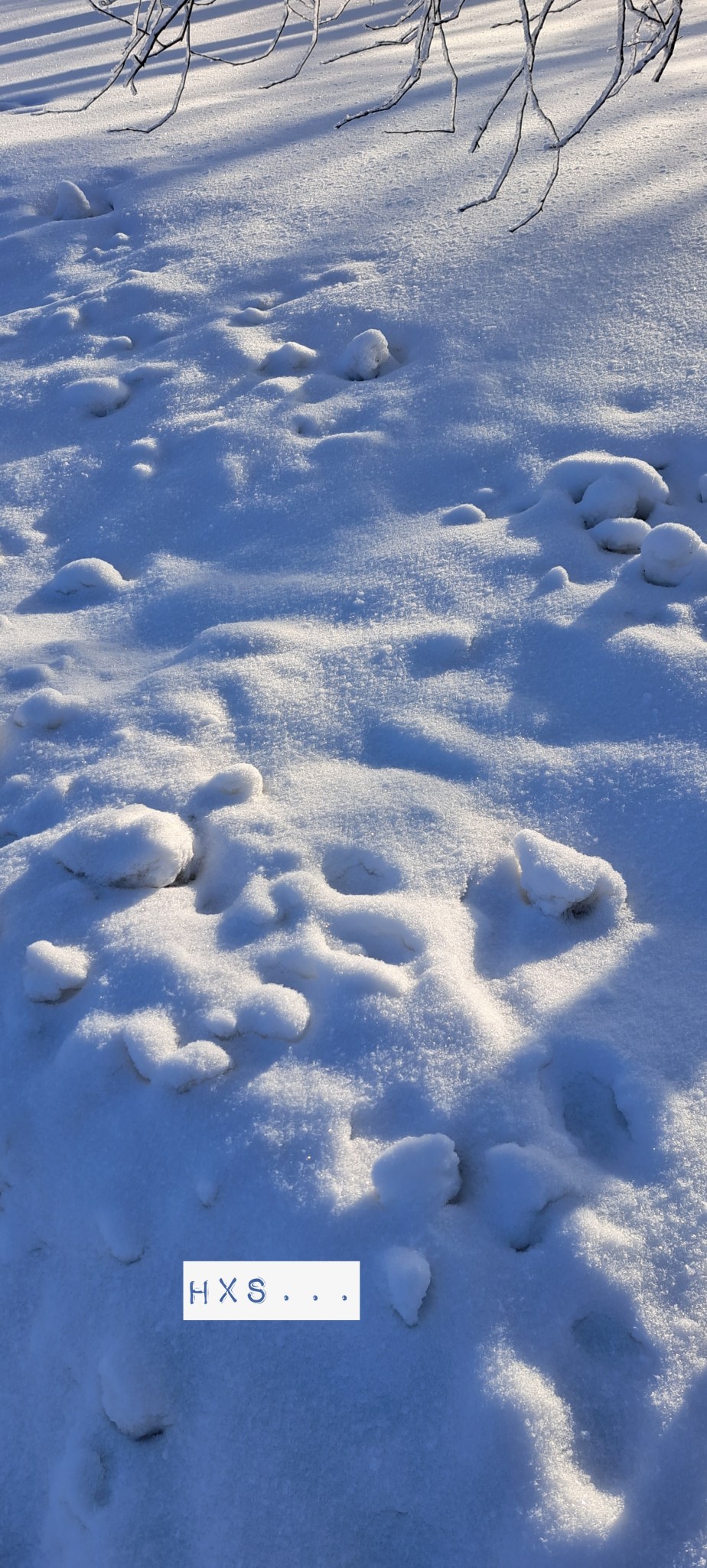 LUONTO SUOMIFINLAND…Suomen vaihtelevat VUODENAJAT, KEVÄTTALVI…Nyt ...