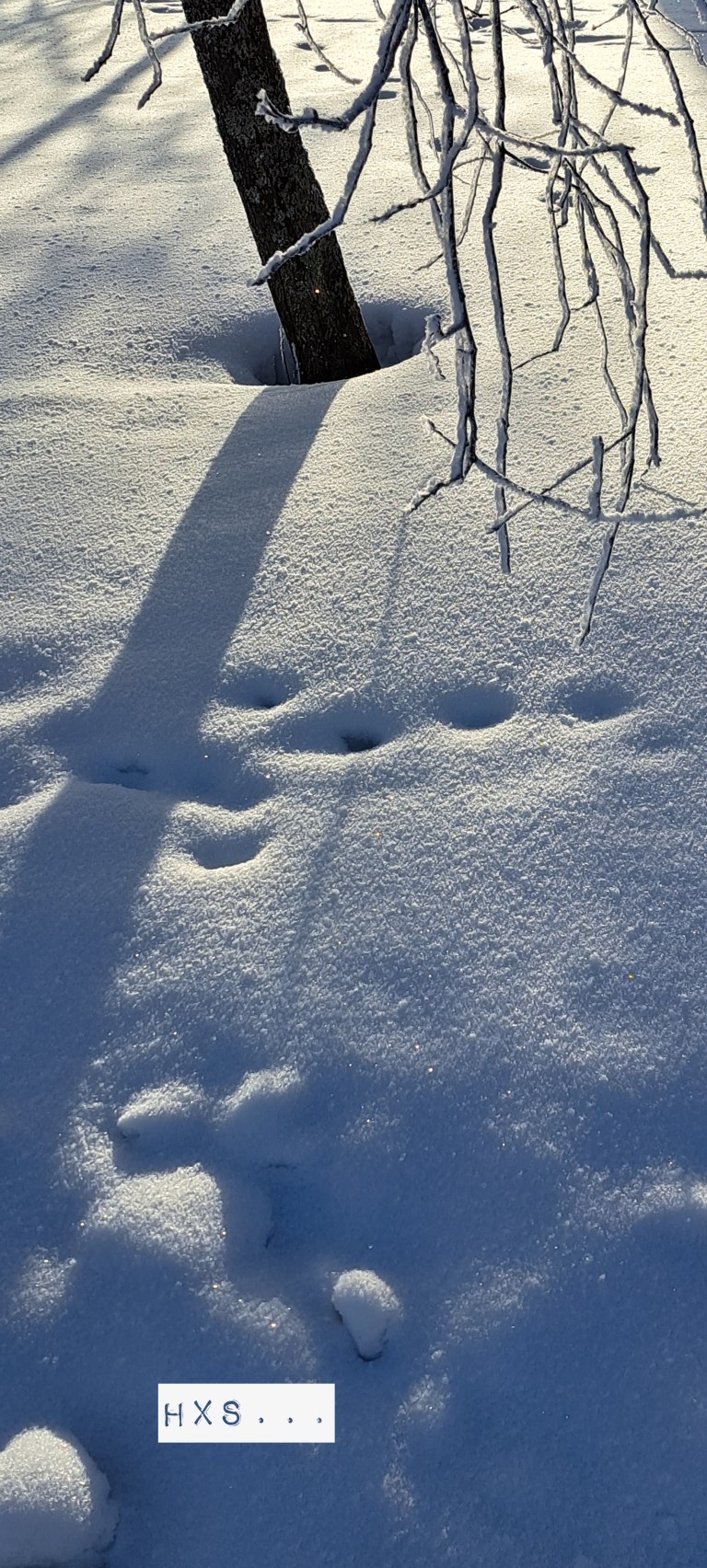 LUONTO SUOMIFINLAND…Suomen vaihtelevat VUODENAJAT, KEVÄTTALVI…Nyt ...