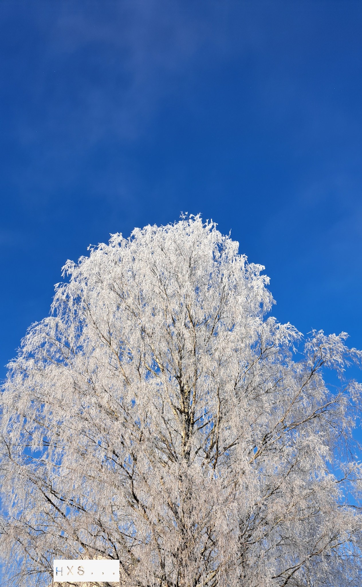 LUONTO SUOMIFINLAND…Suomen vaihtelevat VUODENAJAT, KEVÄTTALVI…Nyt ...
