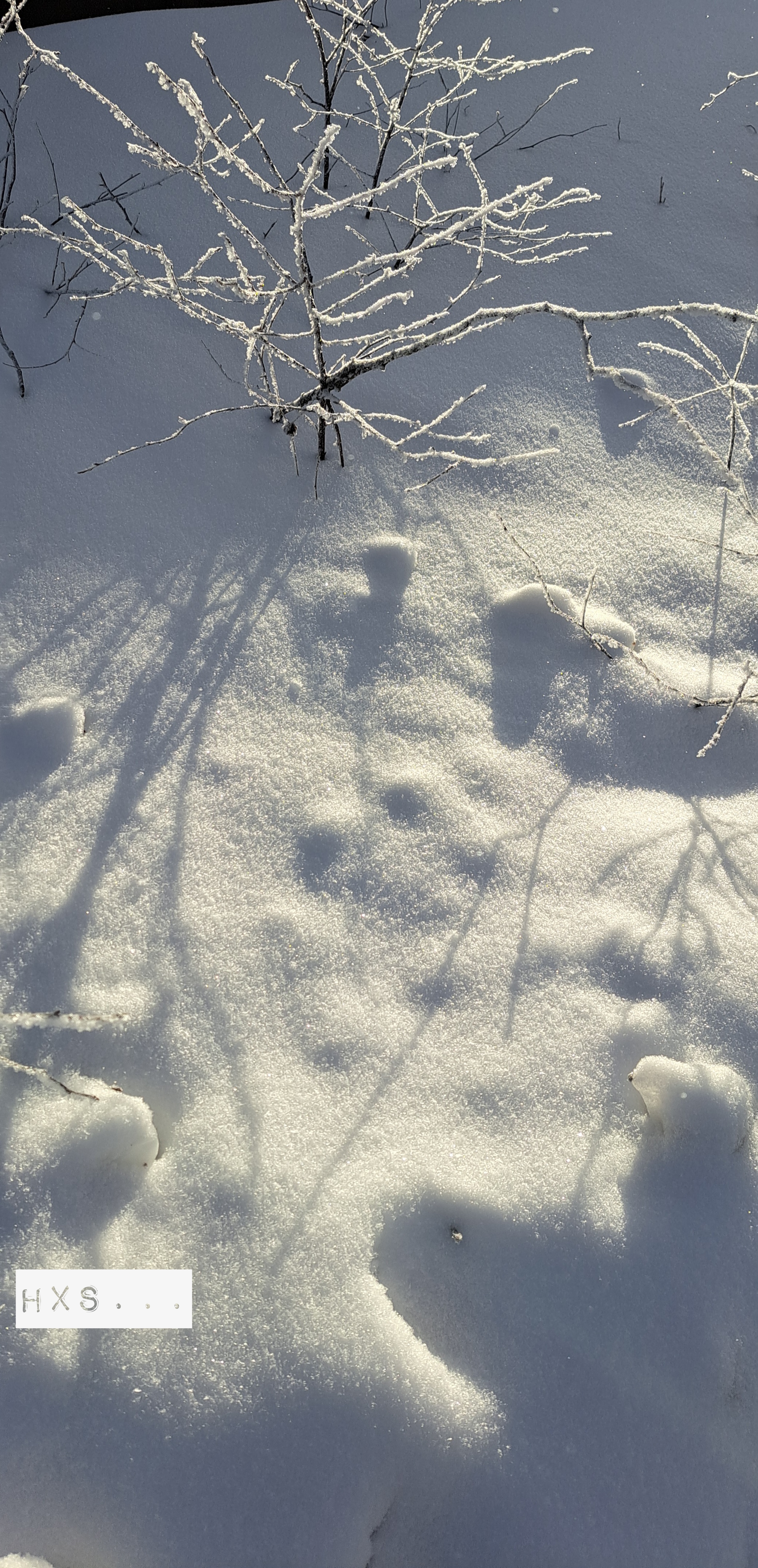 LUONTO SUOMIFINLAND…Suomen vaihtelevat VUODENAJAT, KEVÄTTALVI…Nyt ...