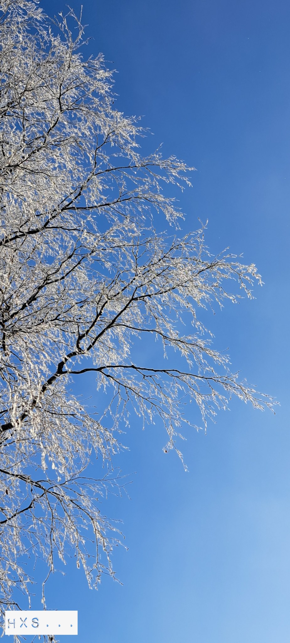 LUONTO SUOMIFINLAND…Suomen vaihtelevat VUODENAJAT, KEVÄTTALVI…Nyt ...