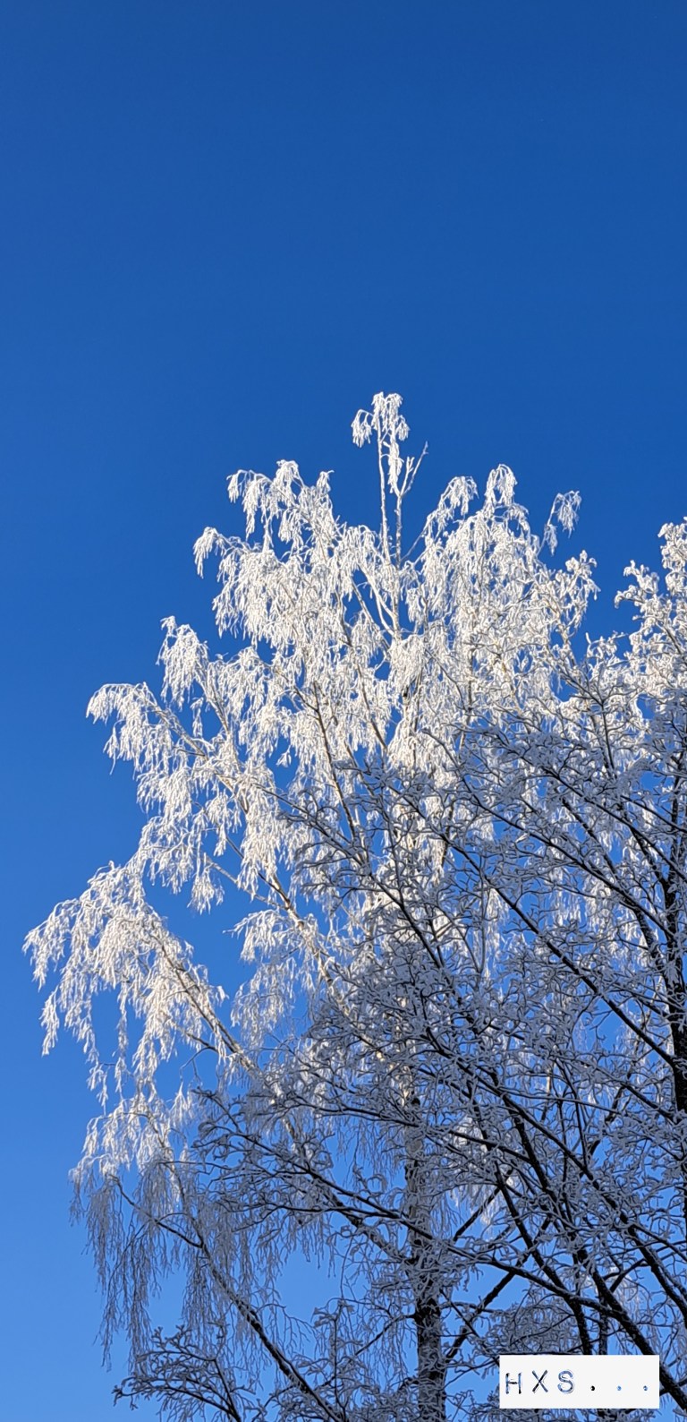 LUONTO SUOMIFINLAND…Suomen vaihtelevat VUODENAJAT, KEVÄTTALVI…Nyt ...