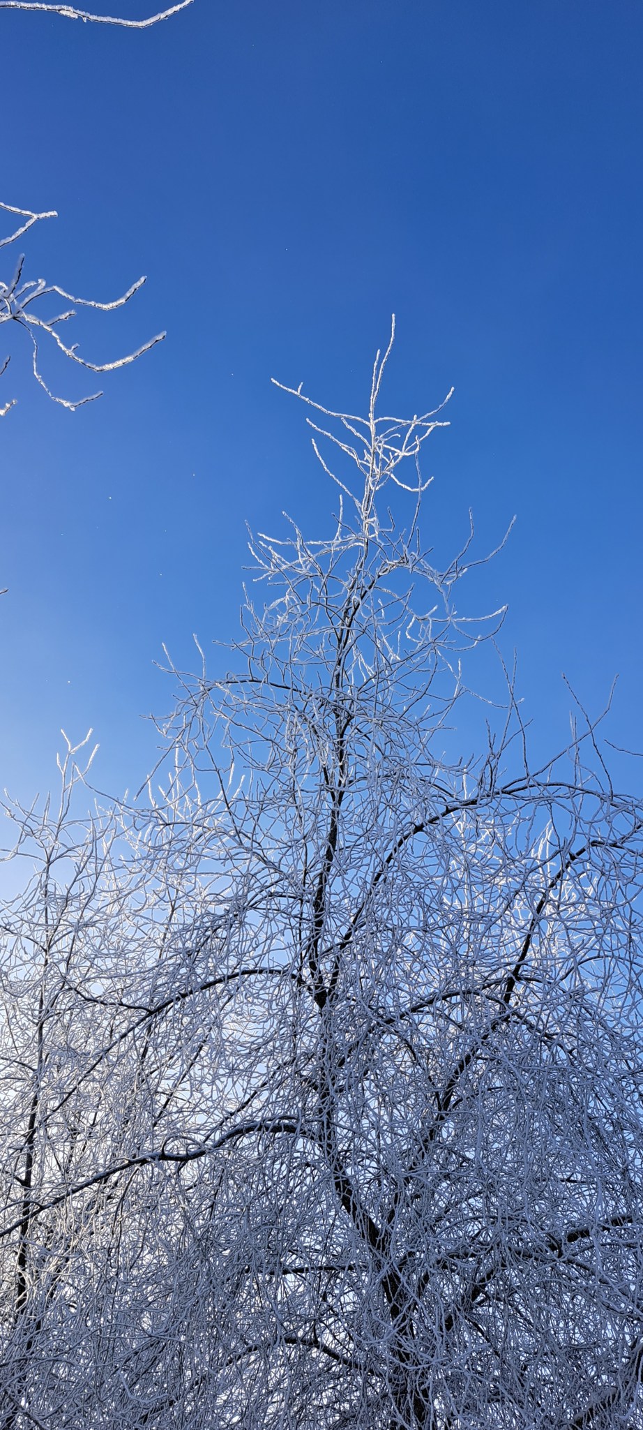 LUONTO SUOMIFINLAND…Suomen vaihtelevat VUODENAJAT, KEVÄTTALVI…Nyt ...