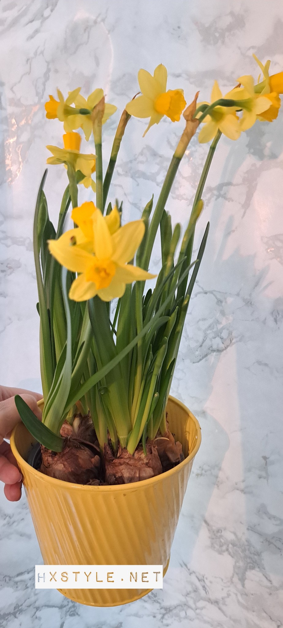 KOTI&SISUSTUS/DECORATE. PÄÄSIÄINEN 2024. Perinteinen RAERUOHO ja ...