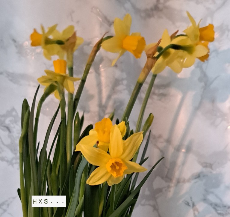 KOTI&SISUSTUS/DECORATE. PÄÄSIÄINEN 2024. Perinteinen RAERUOHO ja ...