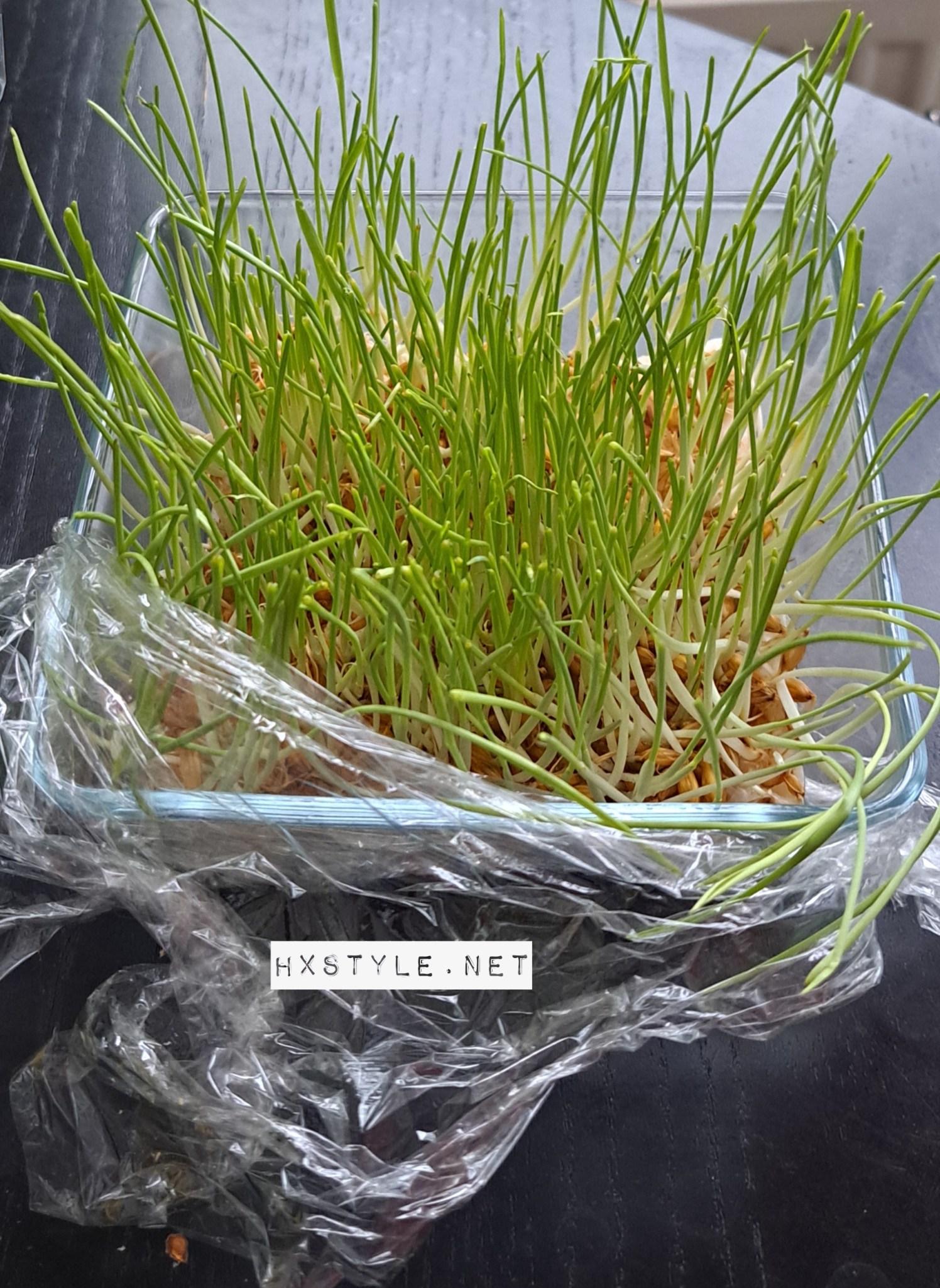 KOTI&SISUSTUS/DECORATE. PÄÄSIÄINEN 2024. Perinteinen RAERUOHO ja ...