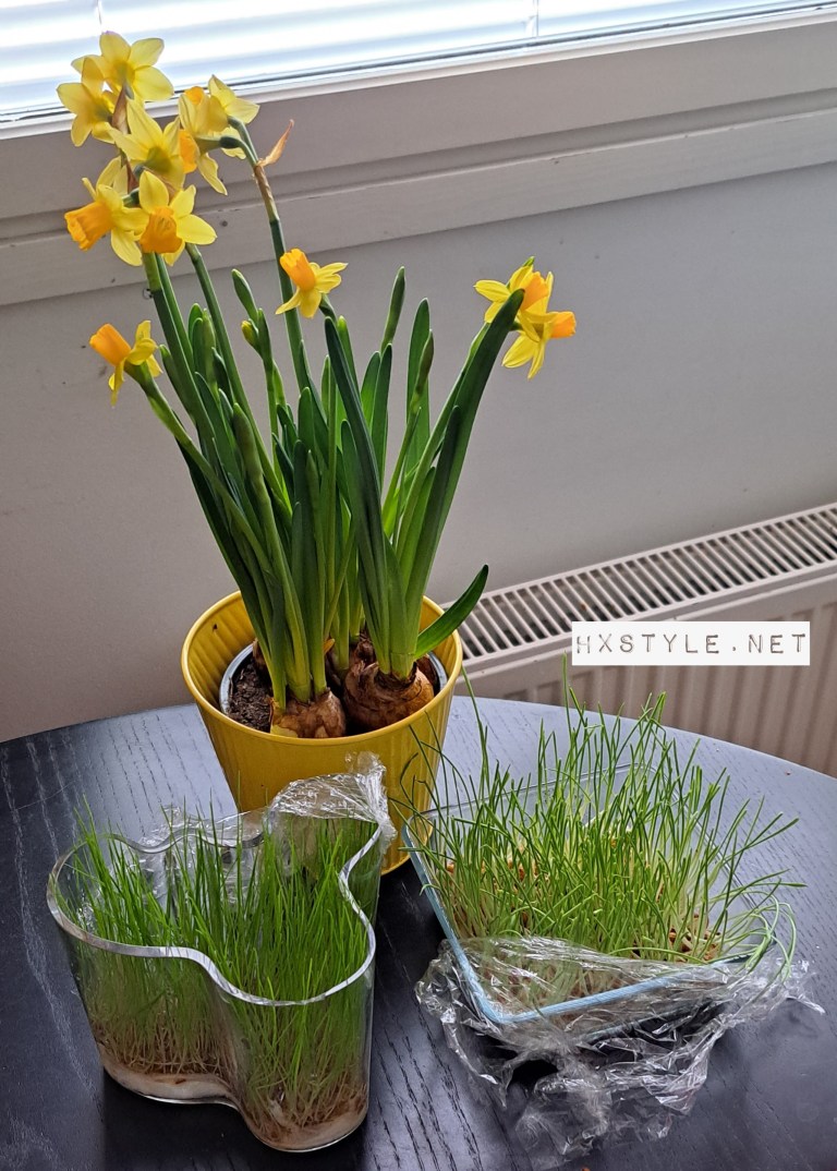 KOTI&SISUSTUS/DECORATE. PÄÄSIÄINEN 2024. Perinteinen RAERUOHO ja ...