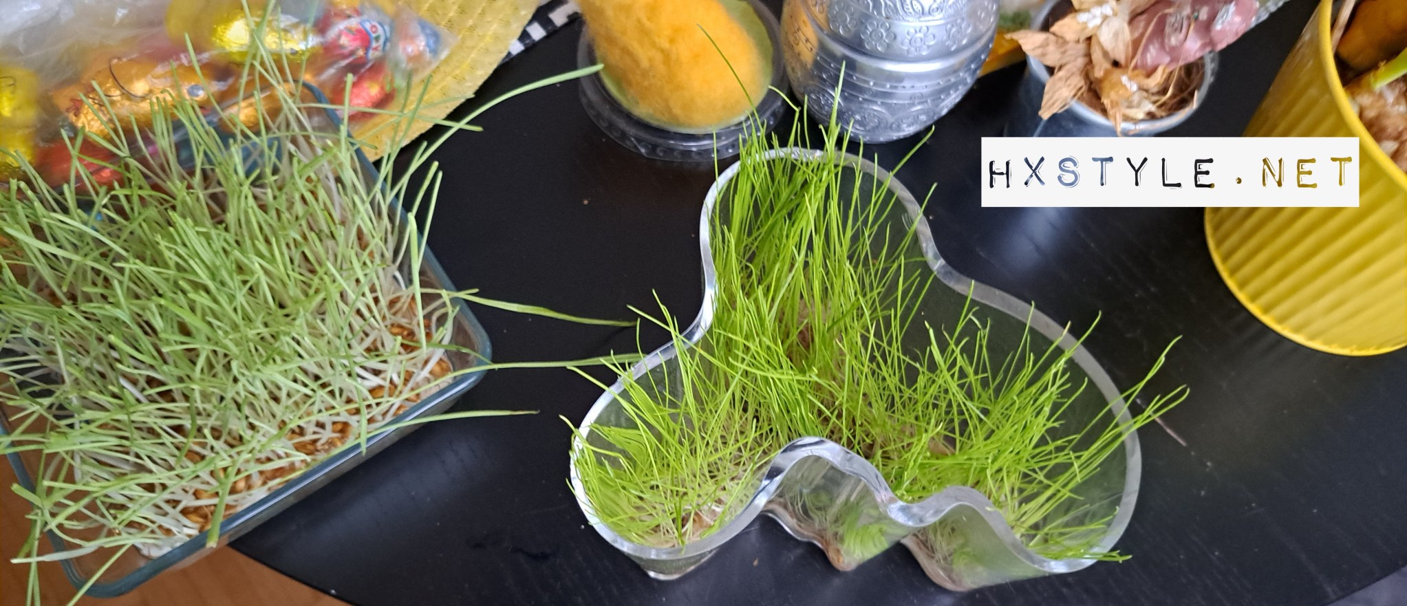 KOTI&SISUSTUS/DECORATE. PÄÄSIÄINEN 2024. Perinteinen RAERUOHO ja ...