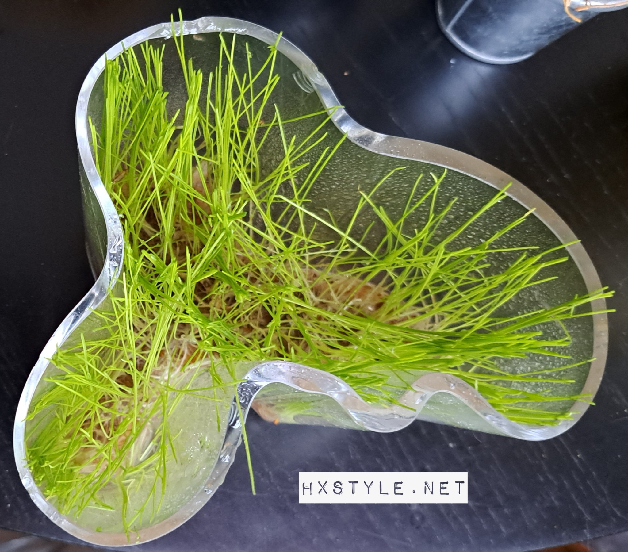 KOTI&SISUSTUS/DECORATE. PÄÄSIÄINEN 2024. Perinteinen RAERUOHO ja ...