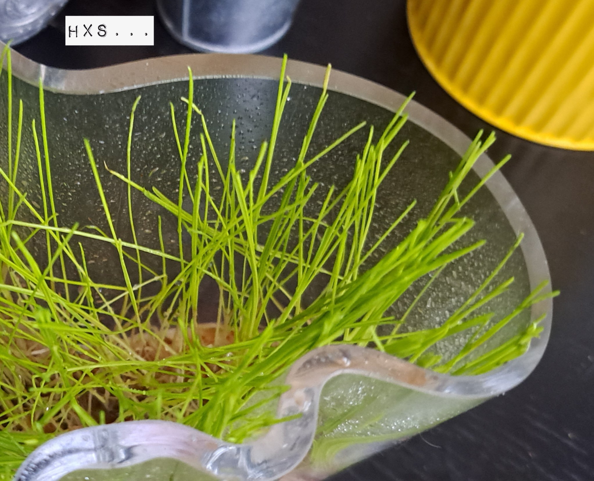 KOTI&SISUSTUS/DECORATE. PÄÄSIÄINEN 2024. Perinteinen RAERUOHO ja ...