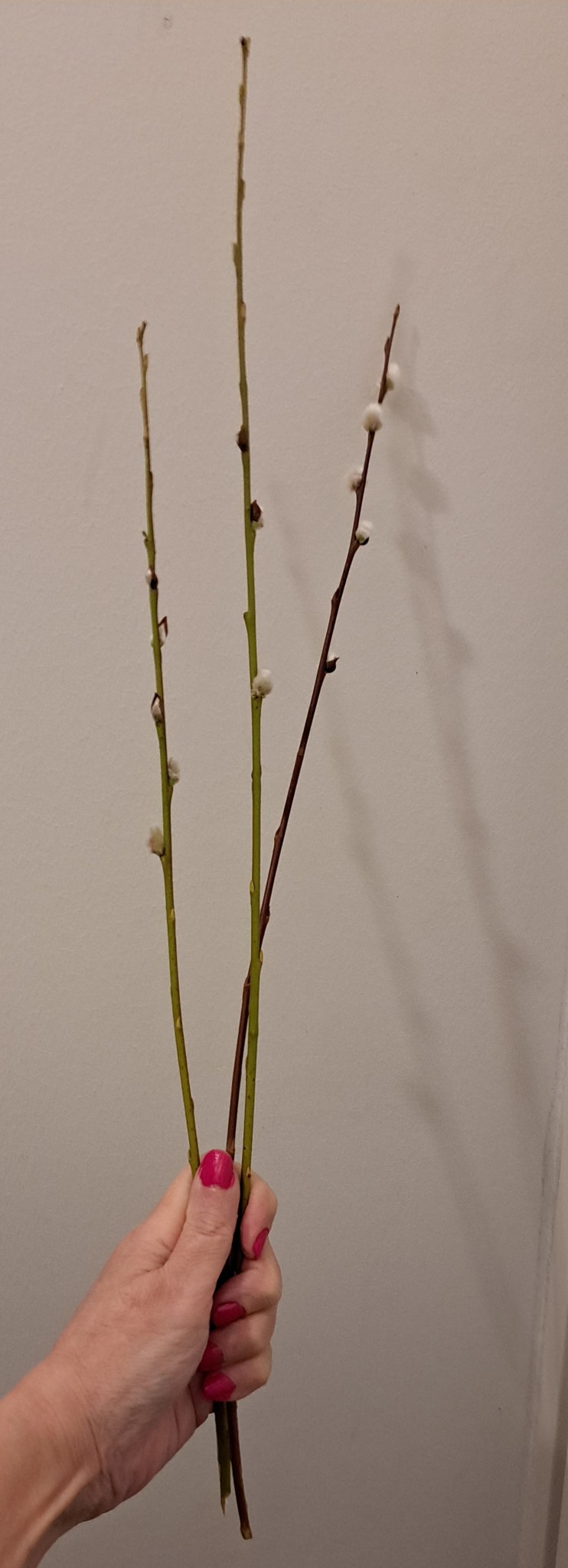 KOTI&SISUSTUS/DECORATE. PÄÄSIÄINEN 2024. Perinteinen RAERUOHO ja ...