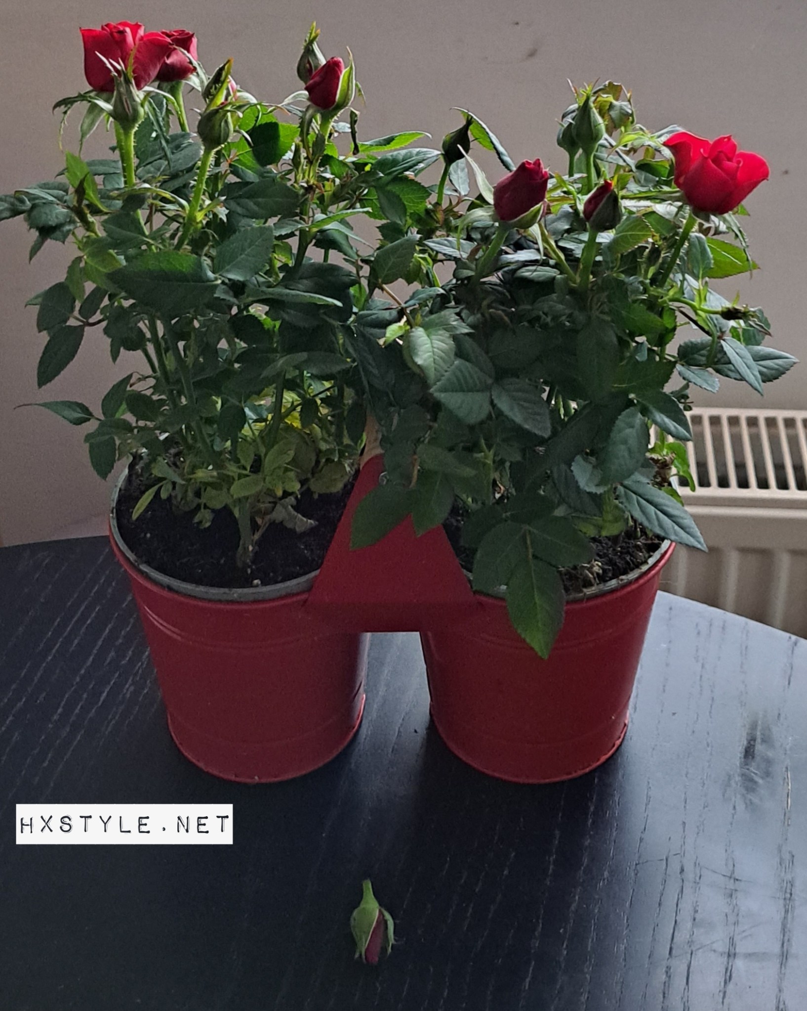 KOTI&RUOKA. Suomalaista ja Terveellistä KANAA…KANASALAATTI ja Kana ...