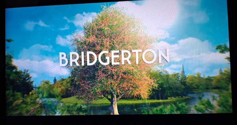 CULTURE. TV SERIE USA and Screenplay NETFLIX SERIE, BRIDGETON Story ...