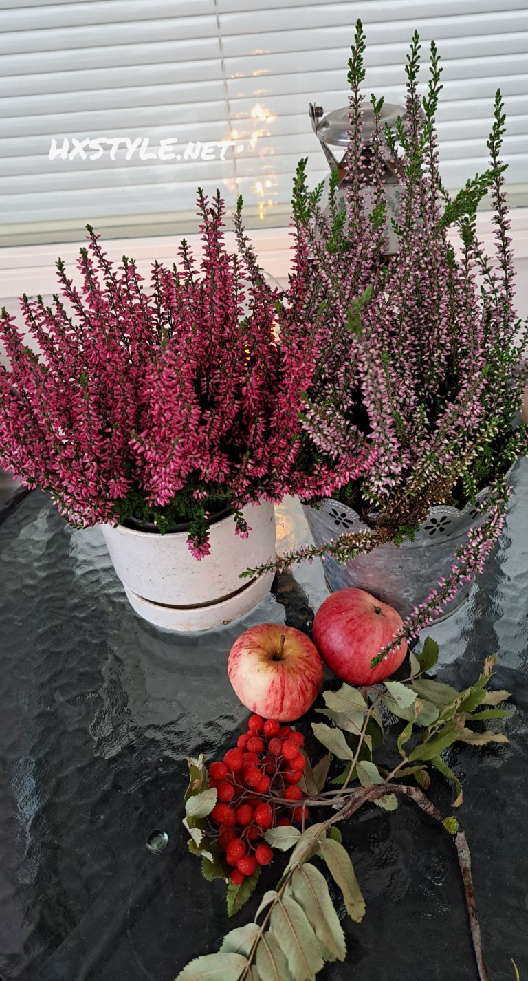 KOTI&SISUSTUS. DECORATE… Sisä- ja Ulkotilat. SESONKI vaihtuu …SYKSY ...